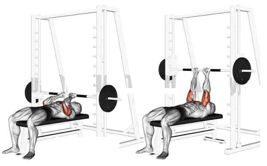 تمارين الترايسبس بالبار لزيادة القوة والضخامة العضلية من جميع الزوايا